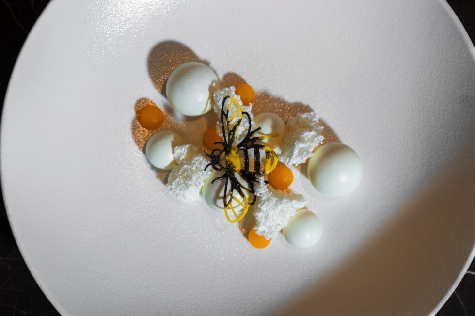 Hytra Restaurant & Bar